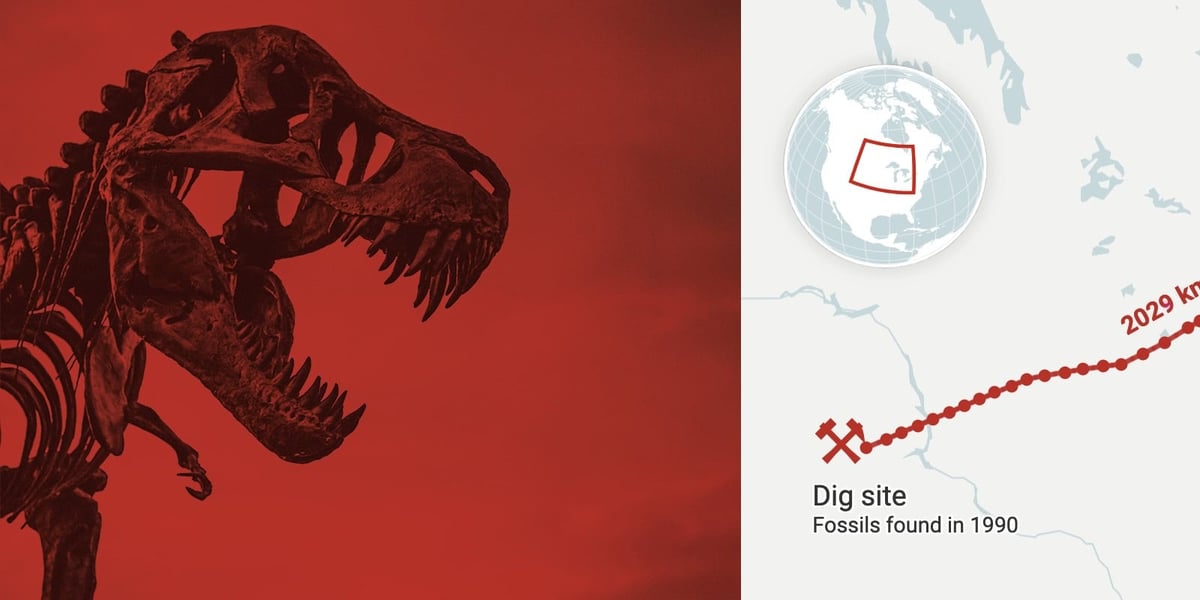 Dinosaurs: Long dead but still on the move | Datawrapper Blog