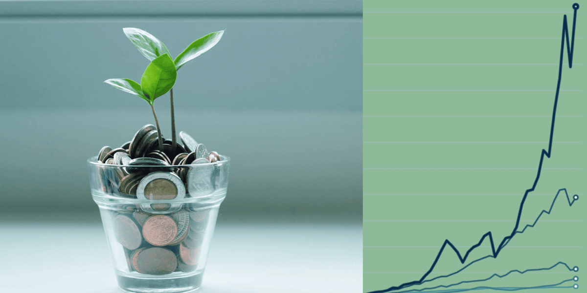 The problem with long term investments | Datawrapper Blog