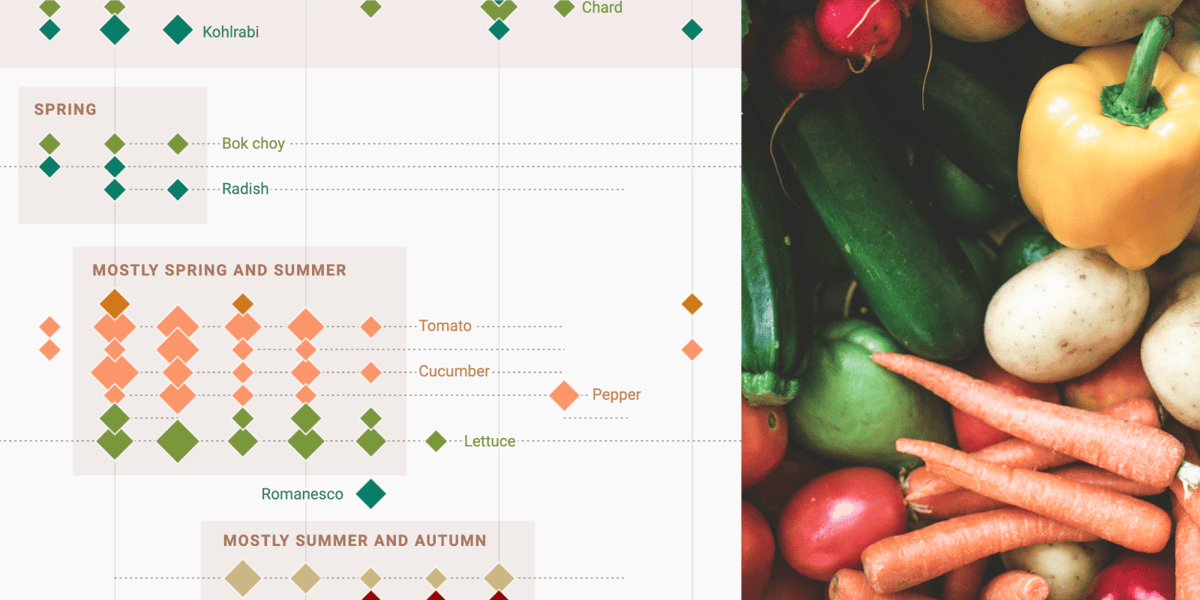 Radish to romanesco: A year in vegetables | Datawrapper Blog
