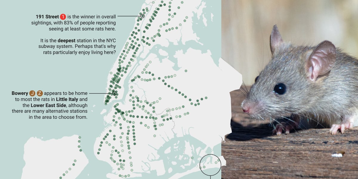 The Unofficial NYC Subway Rat Census | Datawrapper Blog