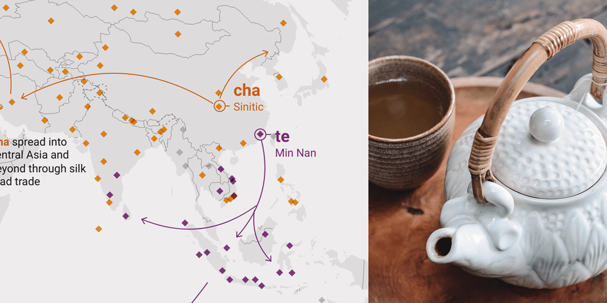 Te(a) or cha(i)? | Datawrapper Blog